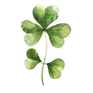 11 Shamrock Clipart, Clover Clipart, Printable Watercolor Clipart, High ...