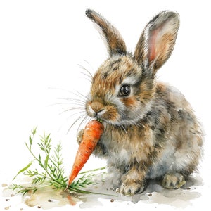 10 Bunny With Carrot Clipart, Rabbit Clipart, Printable Watercolor ...