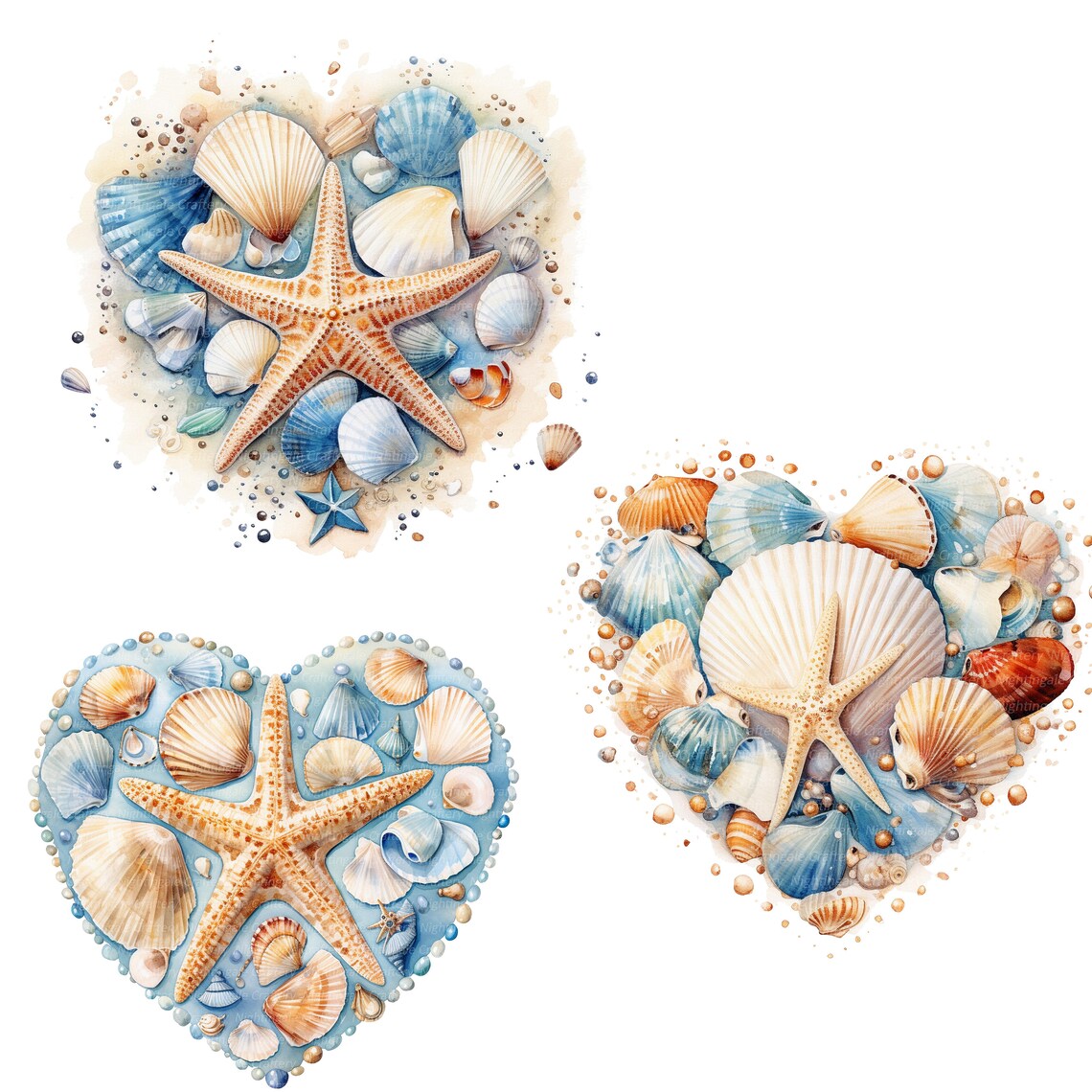14 Sea Shells Heart Clipart, Seashell Clipart, Printable Watercolor ...