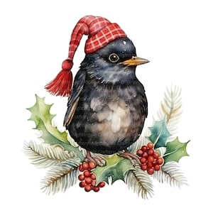 12 Christmas Blackbird Clipart, Black Bird, Printable Watercolor ...