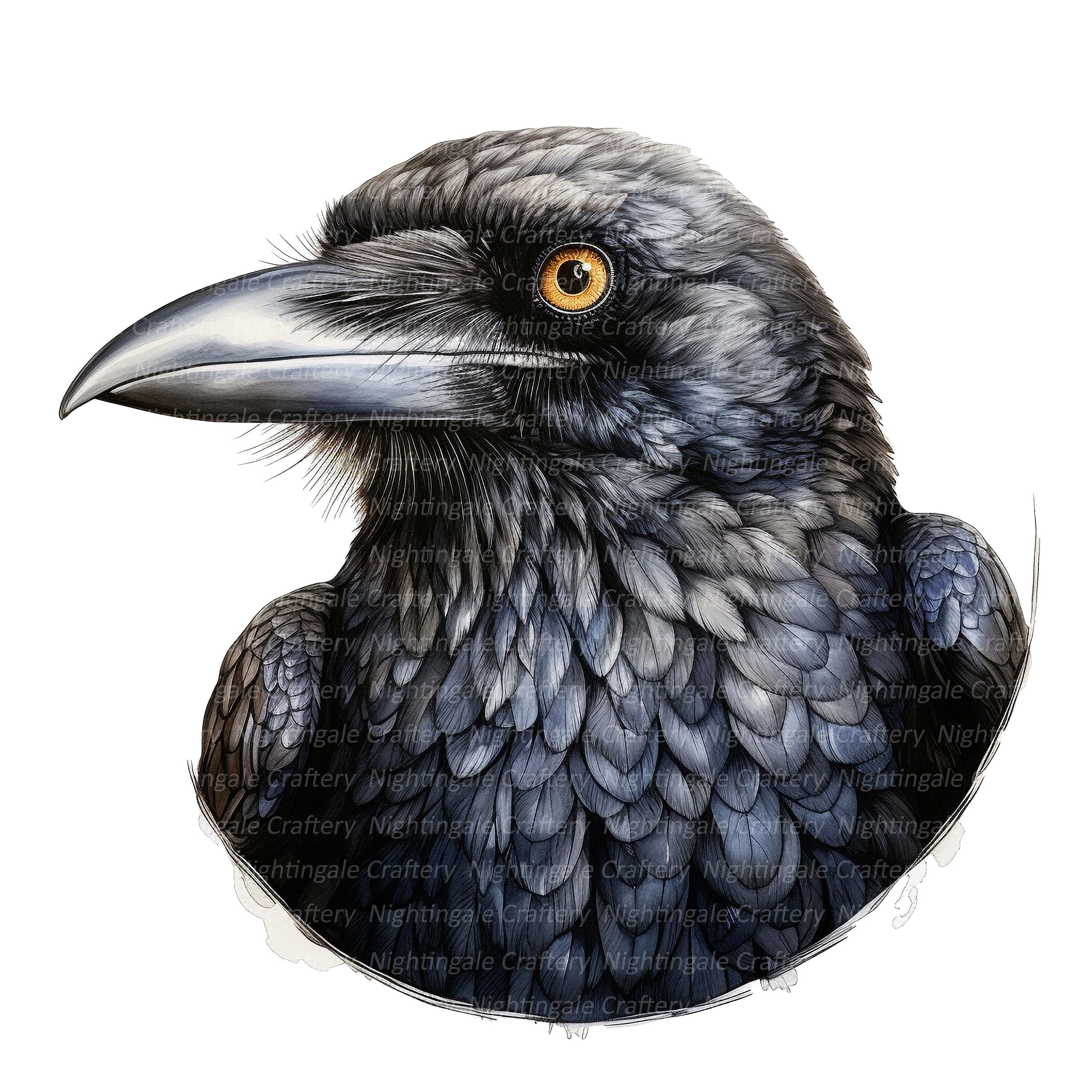12 Common Raven Crow Clipart Crow Close Up Printable - Etsy UK