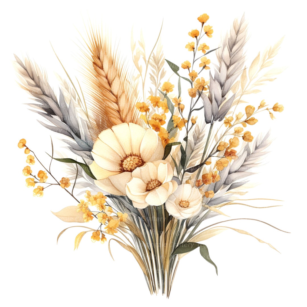 14 Pampa Grass Flowers Bouquet Clipart, Dried Flowers Clipart ...