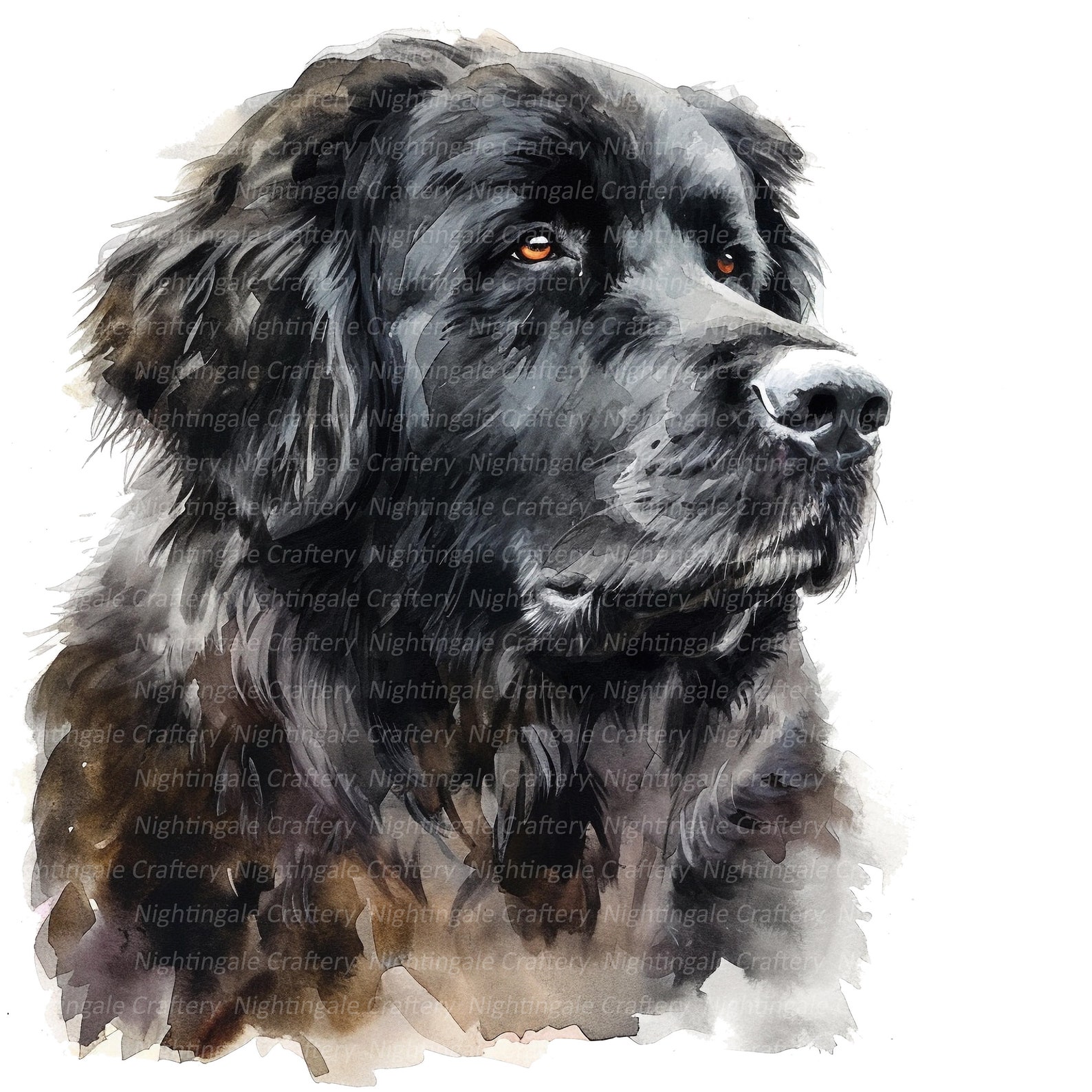 11 Newfoundland Dog Clipart, Printable Watercolor Clipart, High Quality ...