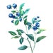 10 Blueberry Clipart, Blueberry Stem Print, Printable Watercolor ...