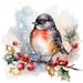 12 Special Christmas Robin Clipart, Printable Watercolor Clipart, High ...