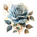 13 Rose Baroque Clipart, Baroque Roses Clipart, Printable Watercolor ...