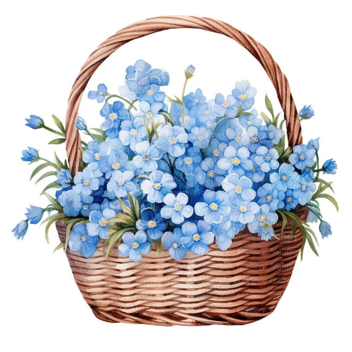 8 Forget Me Not Clipart Forget-me-not Basket Printable - Etsy