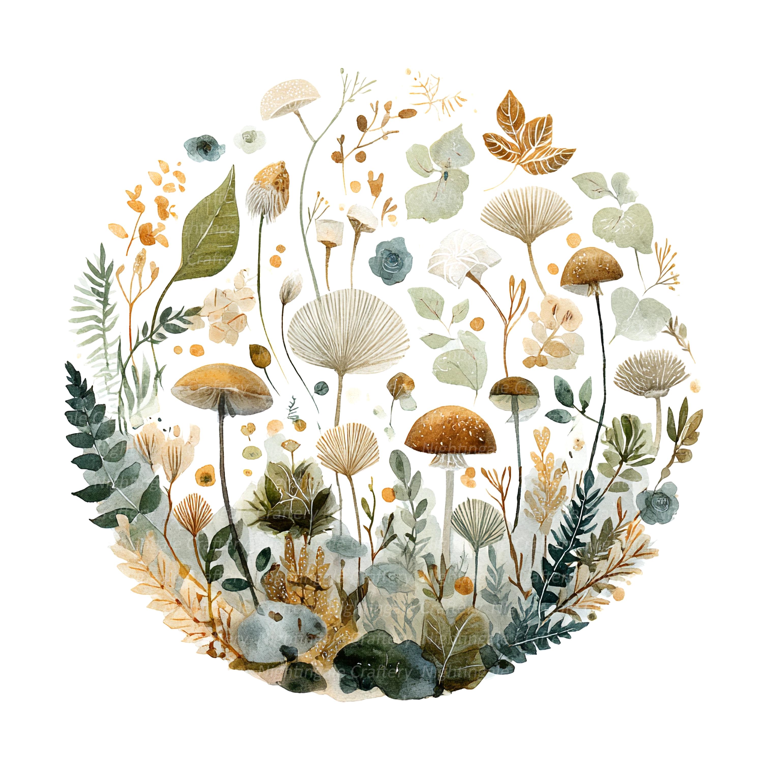 10 Forest Plants Clipart, Mushrooms Design, Digital Clipart, Watercolor ...
