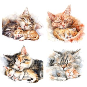 16 Sleeping Cat Clipart, Lovely Kittens Clipart, Printable Watercolor ...