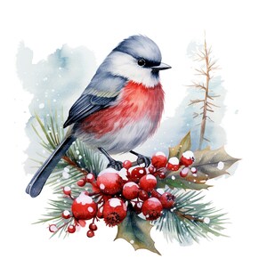 20 Various Christmas Birds Clipart, Robin, Printable Watercolor Clipart ...