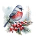 20 Various Christmas Birds Clipart, Robin, Printable Watercolor Clipart ...