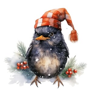12 Christmas Blackbird Clipart, Black Bird, Printable Watercolor ...