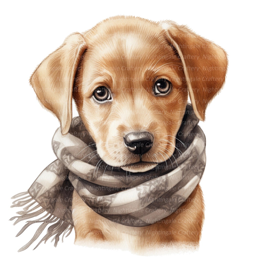 14 Puppy With Scarf Clipart, Winter Puppy, Printable Watercolor Clipart ...