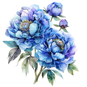 14 Blue Peonies Clipart, Blue Peonies Bouquet, Printable Watercolor ...
