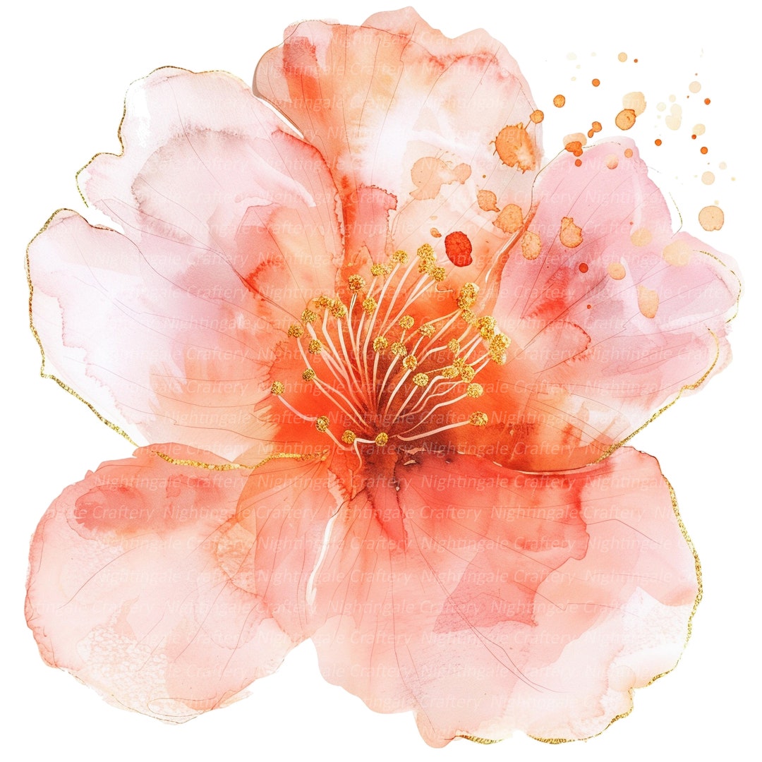 12 Abstract Peach Pink Flowers Clipart, Printable Watercolor Clipart ...