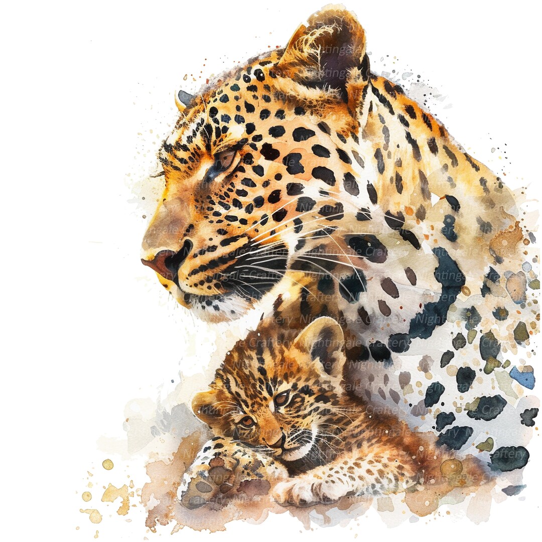 9 Leopard and Baby Leopard Clipart, Printable Watercolor Clipart, High ...