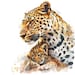 9 Leopard and Baby Leopard Clipart, Printable Watercolor Clipart, High ...