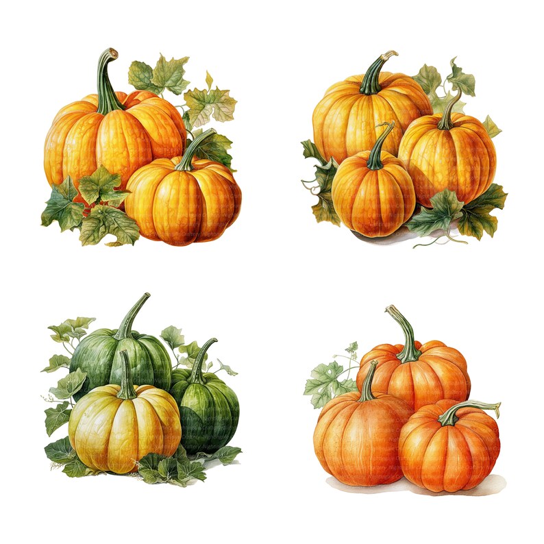 20 Pumpkin Clipart, Various Pumpkins, Printable Watercolor Clipart, 20 ...