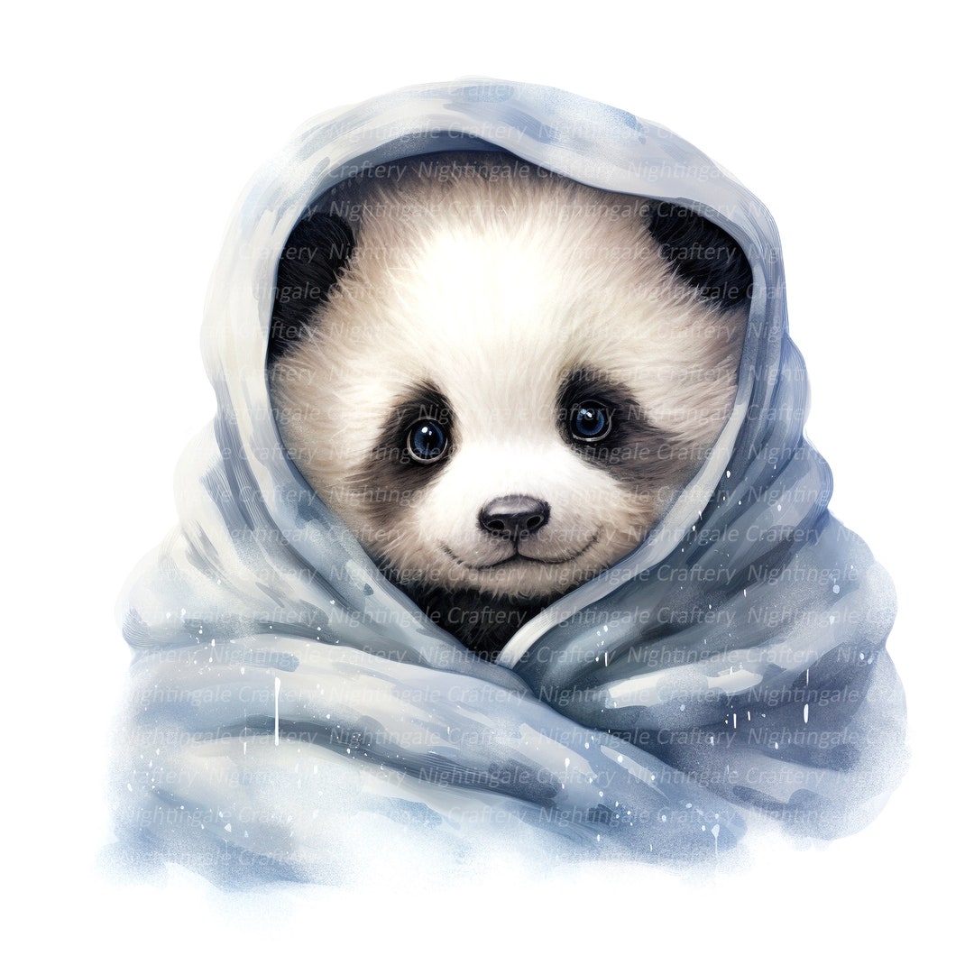 8 Panda in Blanket Clipart, Cold Panda, Printable Watercolor Clipart ...