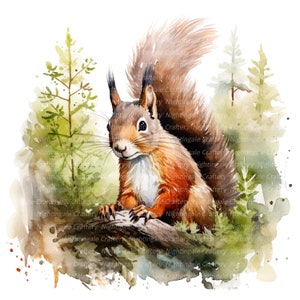 Cute Squirrel in Forest Clipart, Printable Watercolor Clipart, 10 High ...