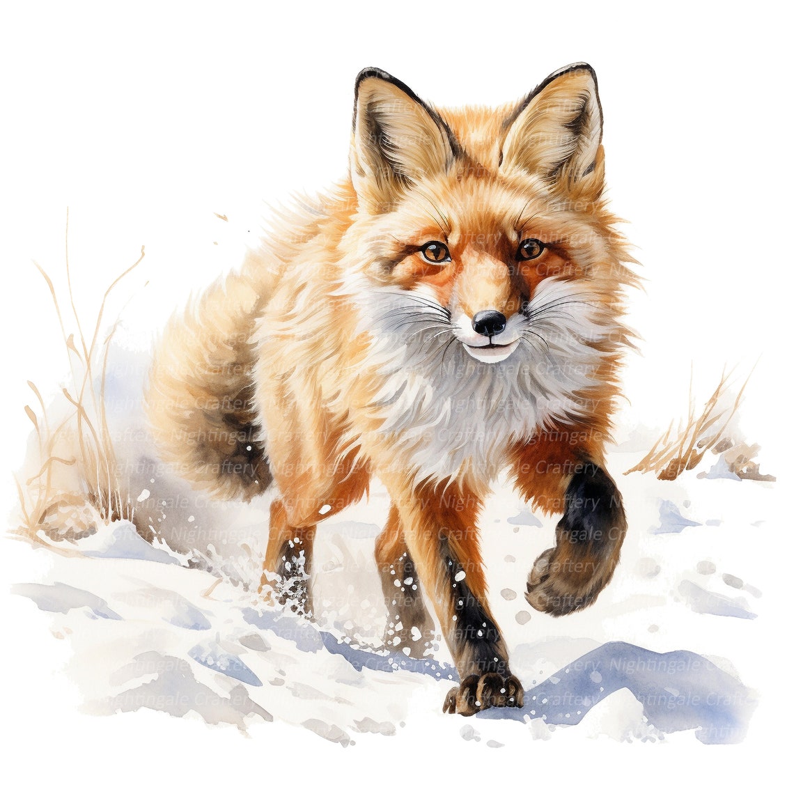 10 Winter Fox Clipart, Running Fox, Printable Watercolor Clipart, High ...