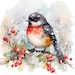 12 Special Christmas Robin Clipart, Printable Watercolor Clipart, High ...