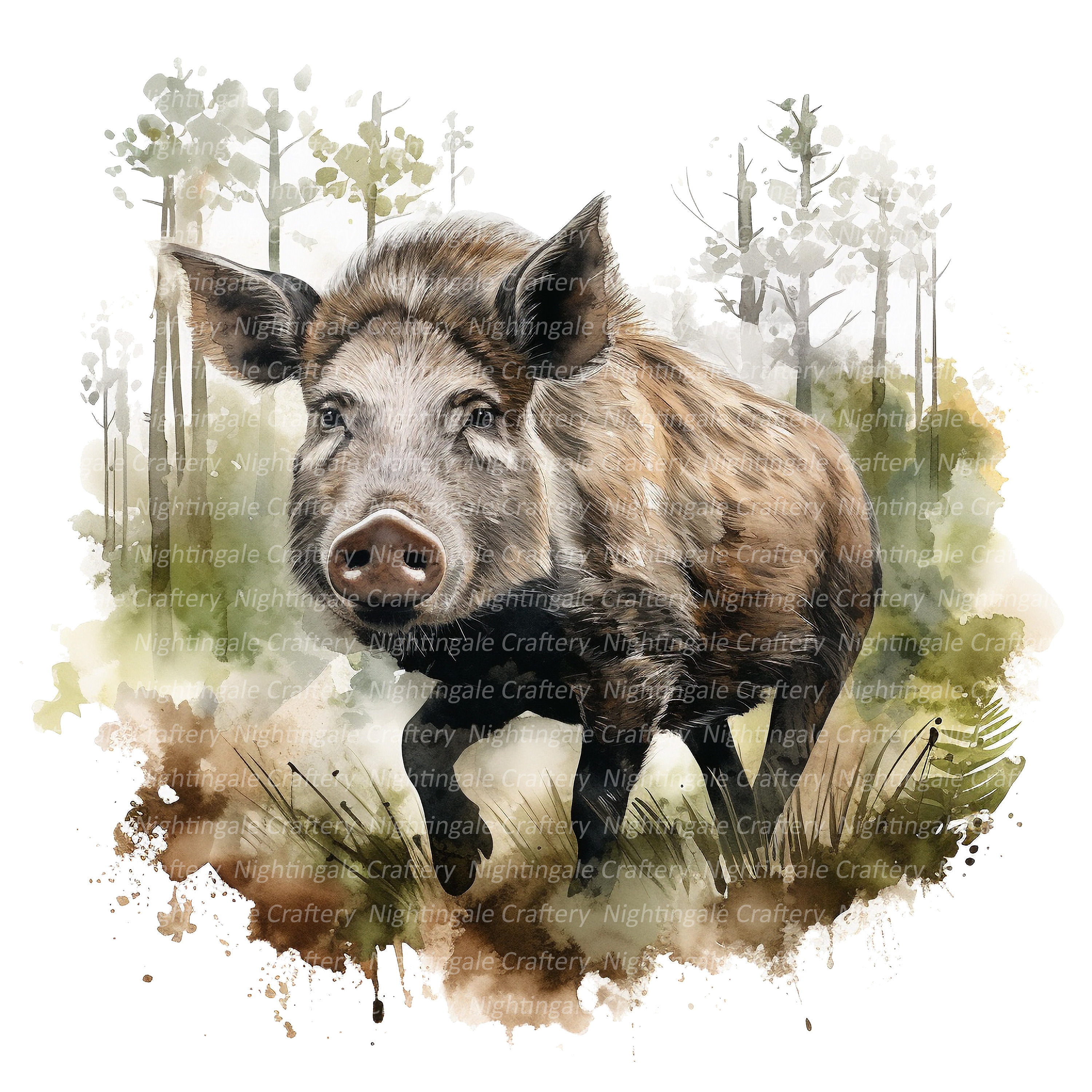 Wild Boar in Forest Clipart Printable Watercolor Clipart 10 - Etsy