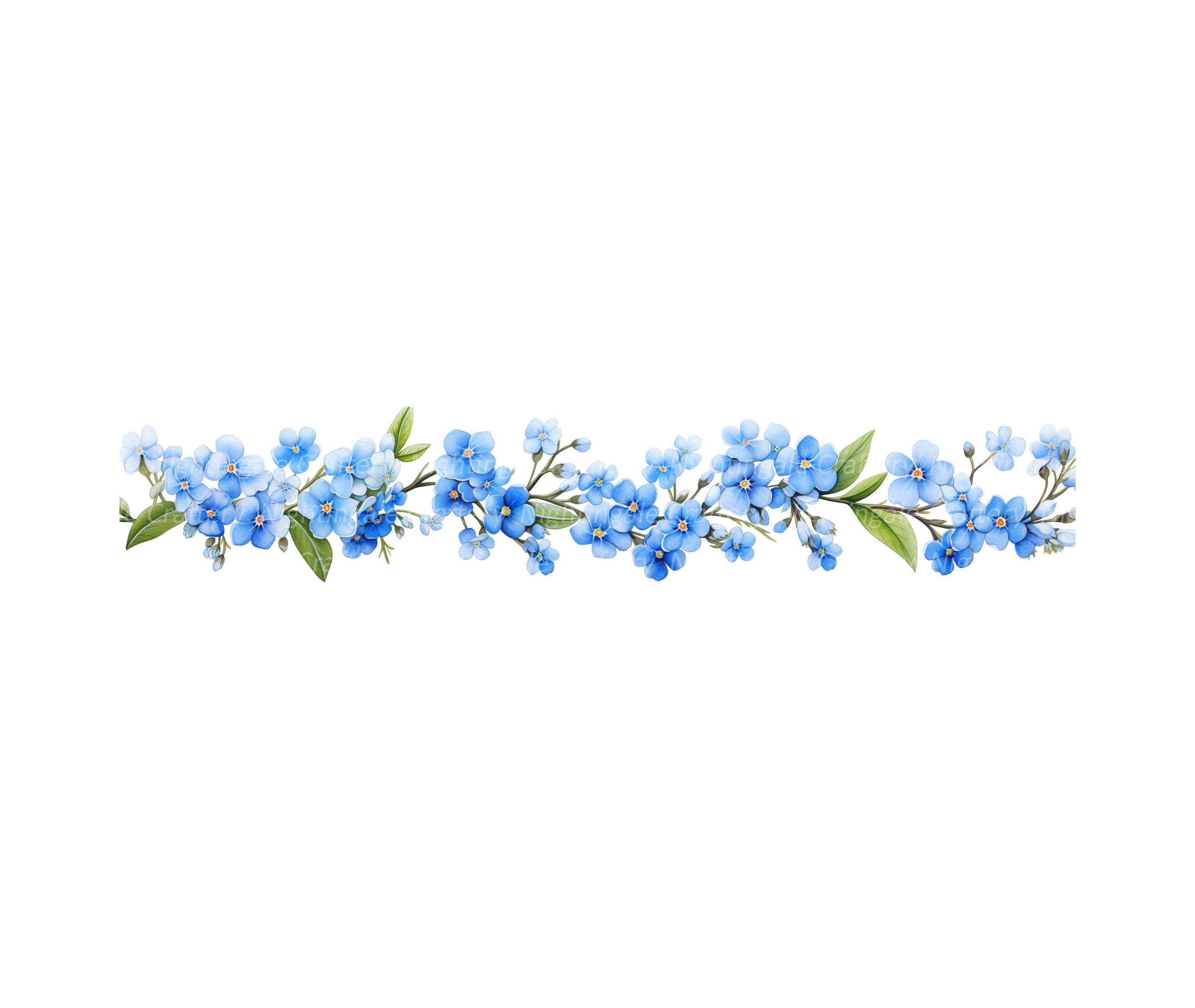 Floral Border Forget Me Not Border Digital Clipart - Etsy