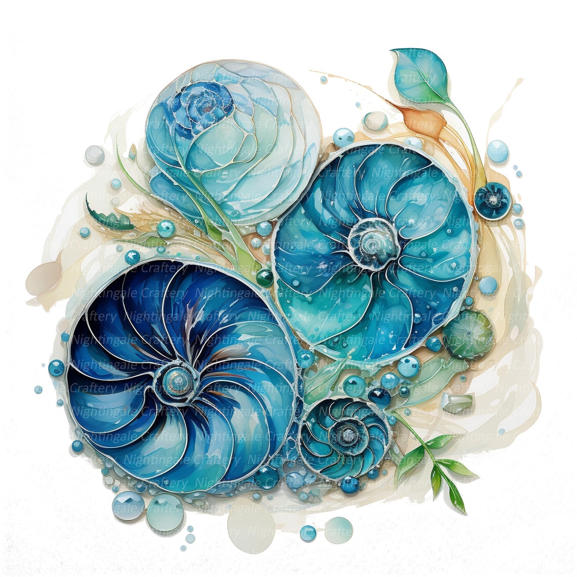 12 Abstract Paua Shells Clipart, Spiral Shells, Printable Watercolor ...