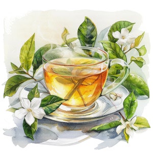 12 Jasmine Tea Clipart, Tea Cup Clipart, Printable Watercolor Clipart ...
