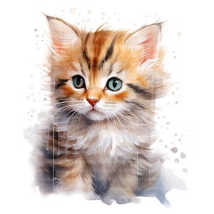 16 Wet Kitten Clipart, Wetted Kitten, Printable Watercolor Clipart ...