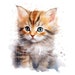 16 Wet Kitten Clipart, Wetted Kitten, Printable Watercolor Clipart ...