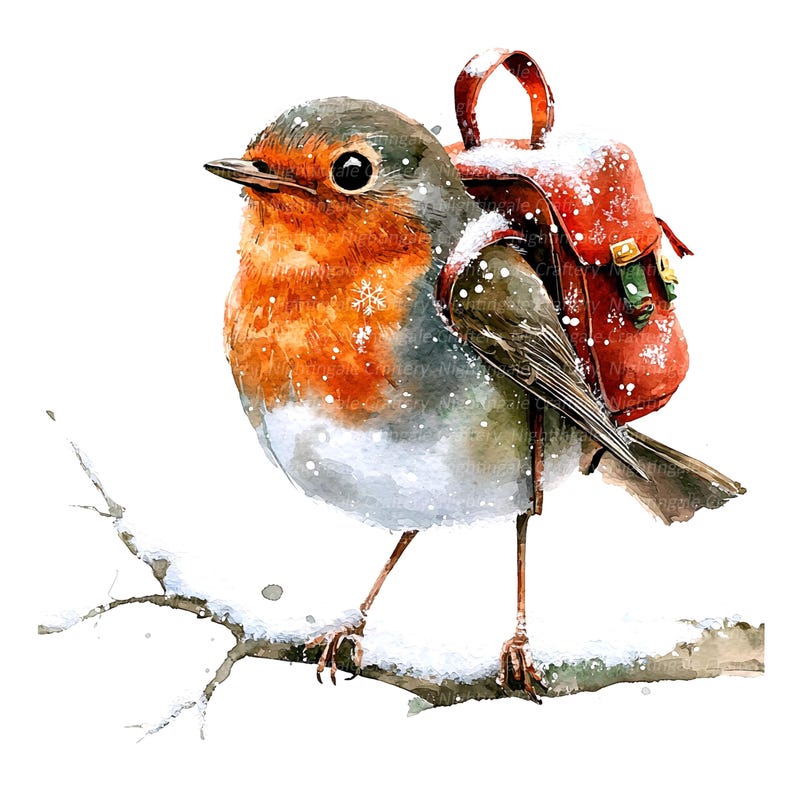 10 PNG Robin With Backpack Clipart, Christmas Robin, Printable ...