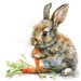 10 Bunny With Carrot Clipart, Rabbit Clipart, Printable Watercolor ...