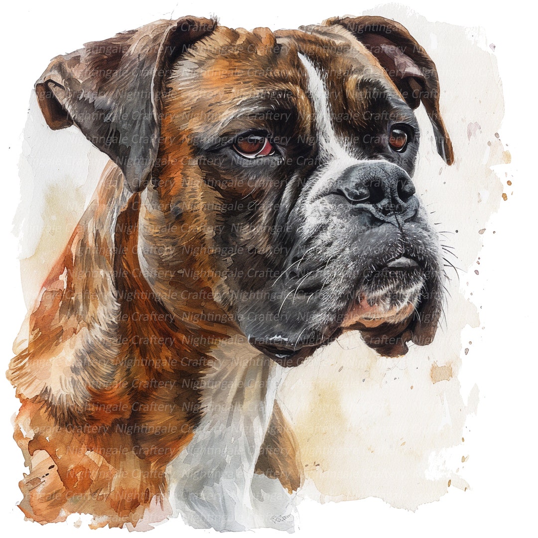10 Boxer Dog Clipart, Watercolor Boxer Dog, Printable Watercolor ...