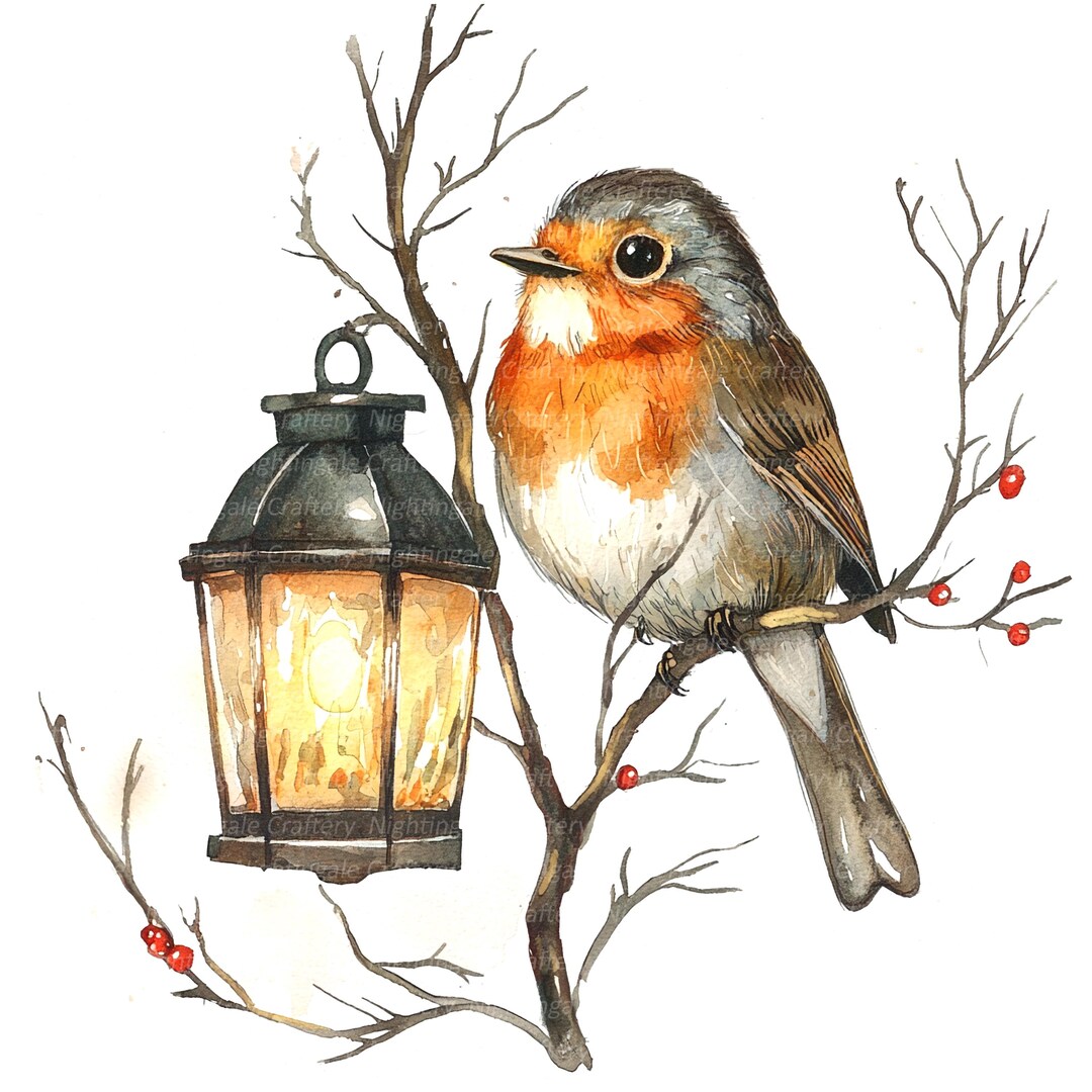 12 Robin and Lantern Clipart, Christmas Robin, Printable Watercolor ...