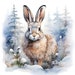 12 Hare in Winter Clipart, Printable Watercolor Clipart, High Quality ...