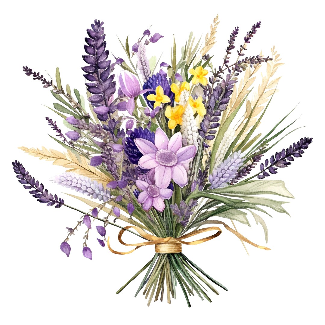 12 Lavender Bouquet Clipart, Lavender Print, Printable Watercolor ...