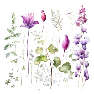 12 Botanical Plant Clipart, Wildflower Plants, Printable Watercolor ...