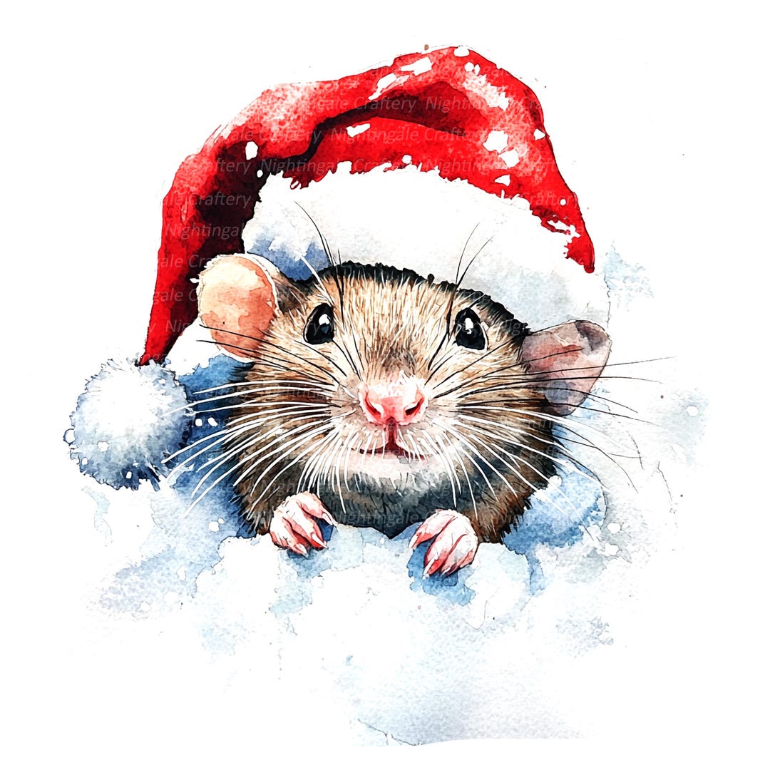 9 Christmas Rat Clipart, Cute Rat, Christmas Card, Printable Watercolor ...