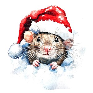 9 Christmas Rat Clipart, Cute Rat, Christmas Card, Printable Watercolor ...