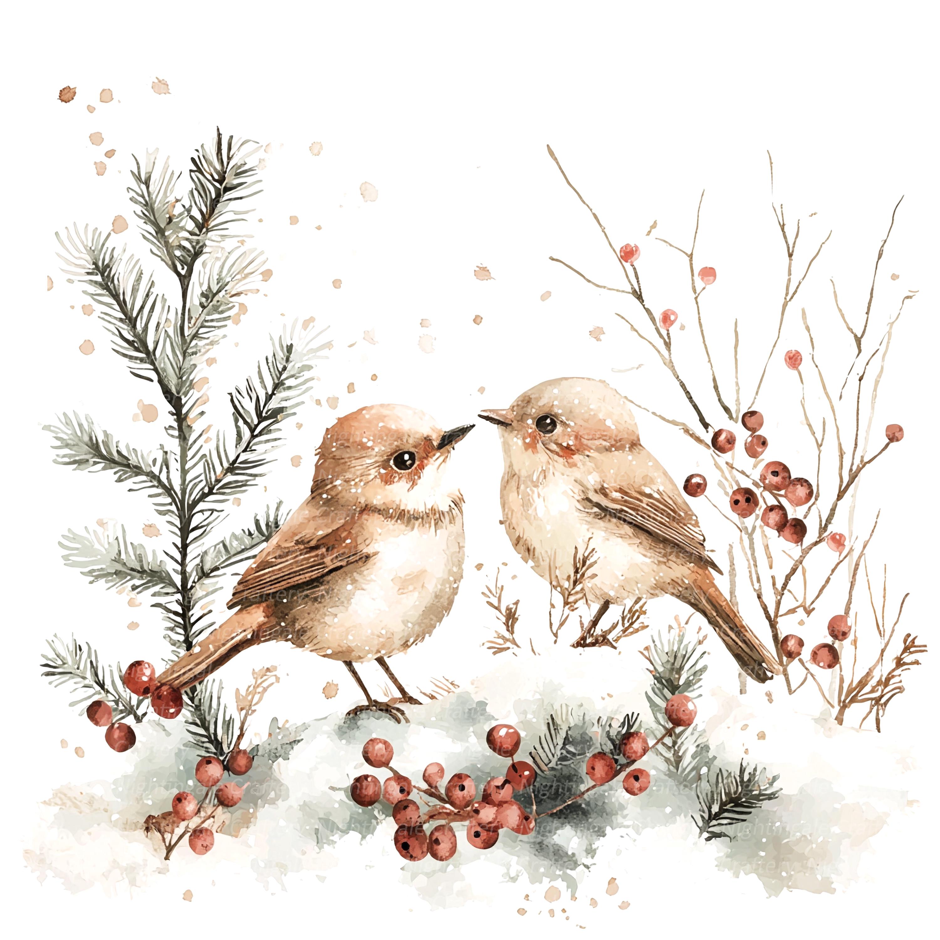 10 Christmas Birds Clipart, Red Cardinal, Robin, Printable Watercolor ...