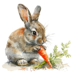 10 Bunny With Carrot Clipart, Rabbit Clipart, Printable Watercolor ...