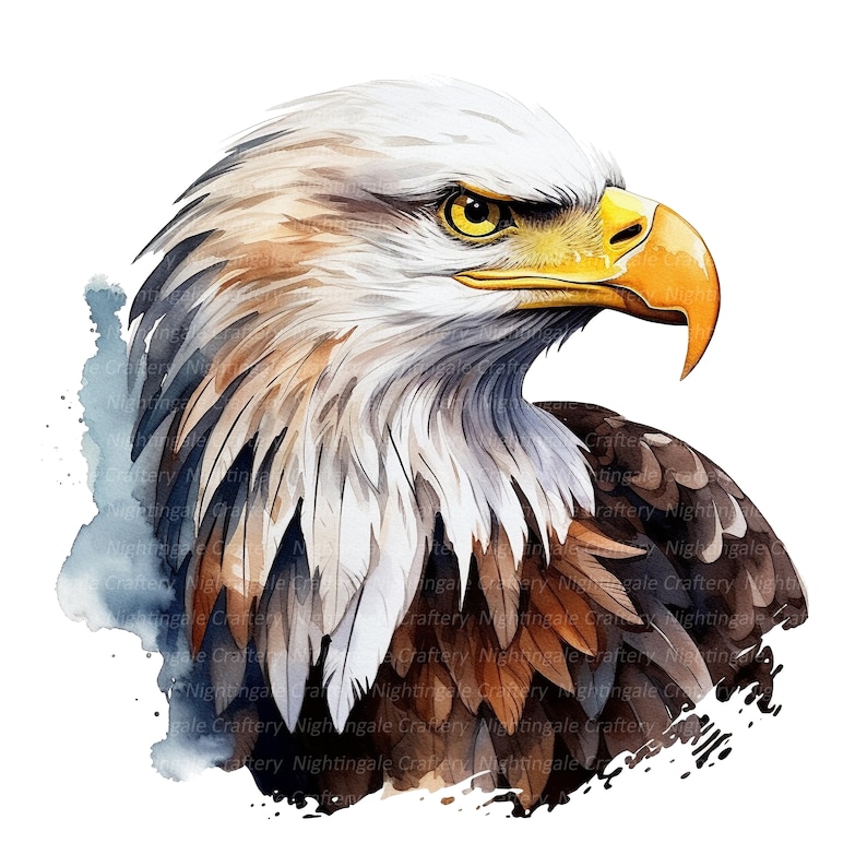12 Eagle Clipart, Bald Eagle, Printable Watercolor Clipart, High ...