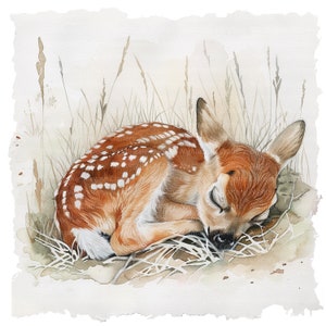 8 Baby Fawn Sleeping Clipart, Fawn Clipart, Printable Watercolor ...