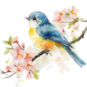 10 Floral Bird Clipart, Spring Birds Clipart, Printable Watercolor ...