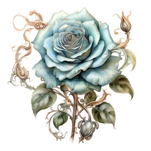 13 Rose Baroque Clipart, Baroque Roses Clipart, Printable Watercolor ...