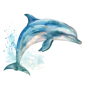 12 Dolphin Clipart, Dolphin Playing Clipart, Printable Watercolor ...