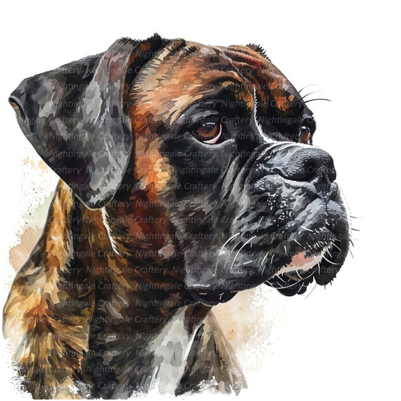 Dibujo De Perro Boxer