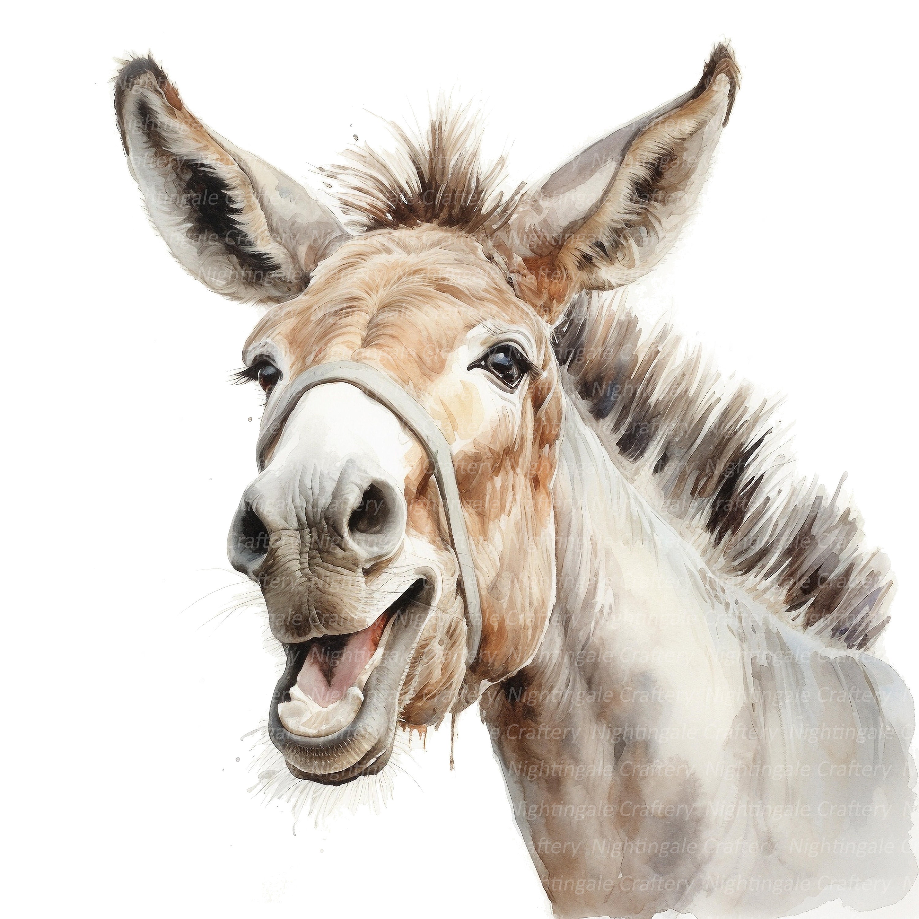 12 Funny Donkey Clipart Donkey Laugh Clipart Printable - Etsy UK